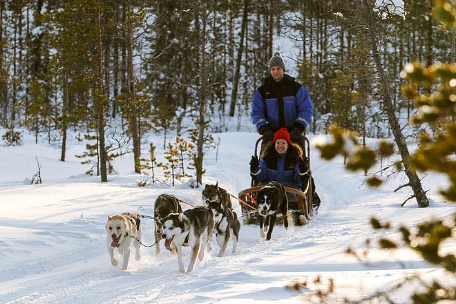 Adventure with our arctic dogs - Elämys Suomi