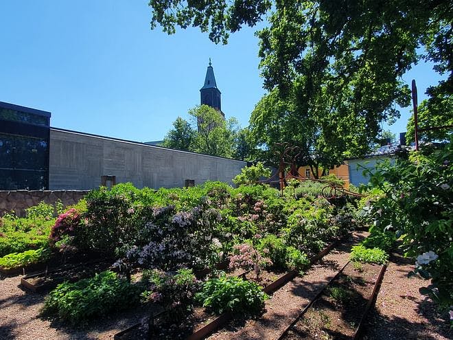 The Heart of Turku - Private Walking Tour - Elämys Suomi