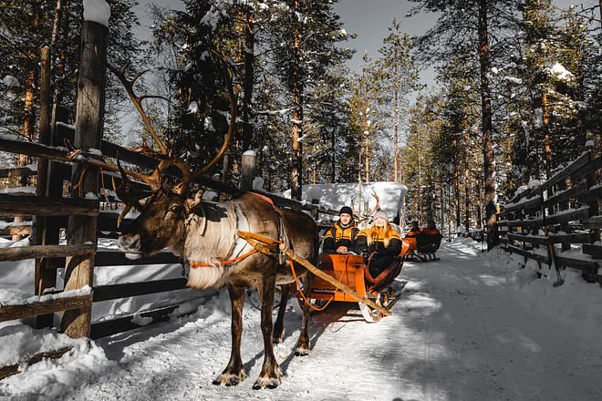 Traditional Reindeer Safari - Elämys Suomi