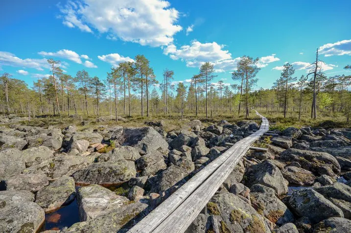 5 National parks-trip - Elämys Suomi